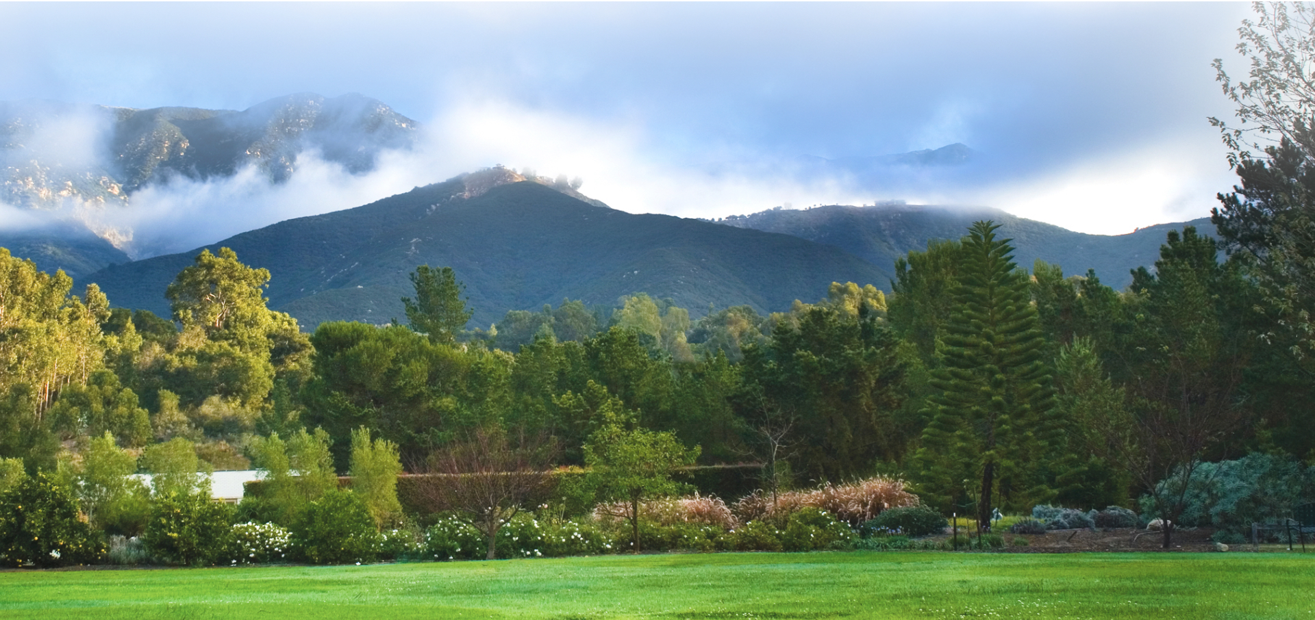 Pacifica Graduate Institute | CustomViewbook Wizard